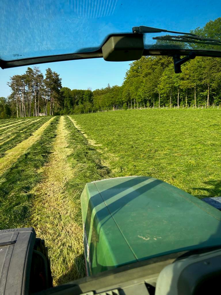 Our Family Farm – Black Angus Belgium
